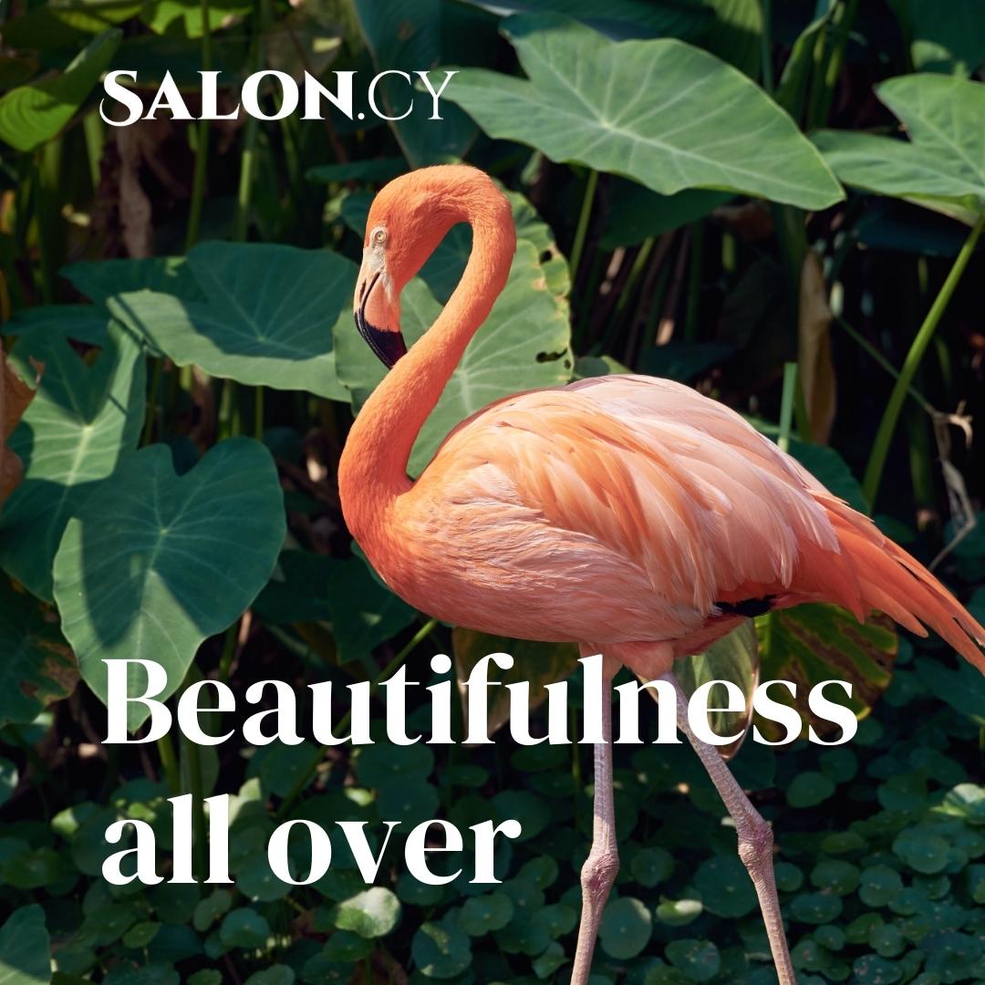 Beautifulness All Over In Cyprus — Cyprus Salon